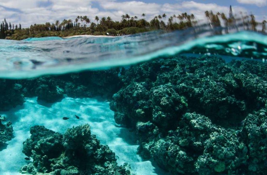 DESTINATION SPOTLIGHT: Lifou – Choose Your Cruise